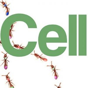 Cell、Nature、Scienceには出しません - 日本の科学と技術